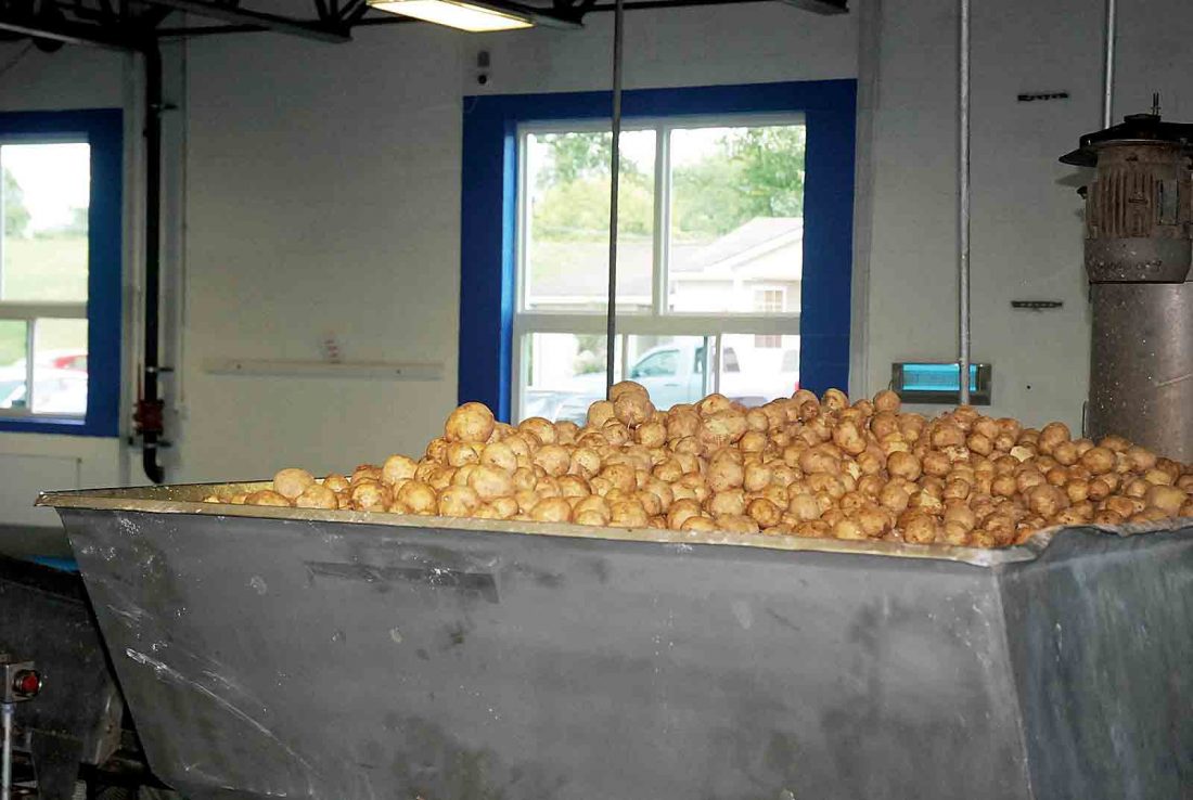 Hive of Activity: A behind-the-scenes look at Mister Bee | News, Sports ...